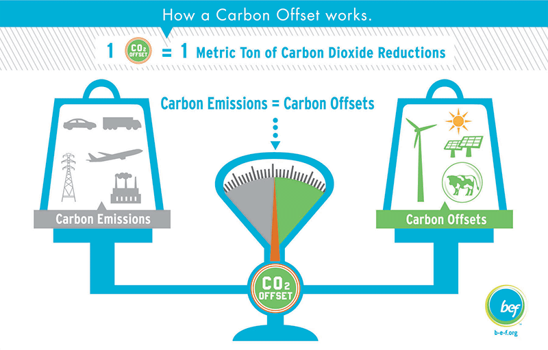 Top 10 carbon offset infographic ideas and inspiration